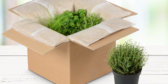 Umweltfreundliche Verpackung